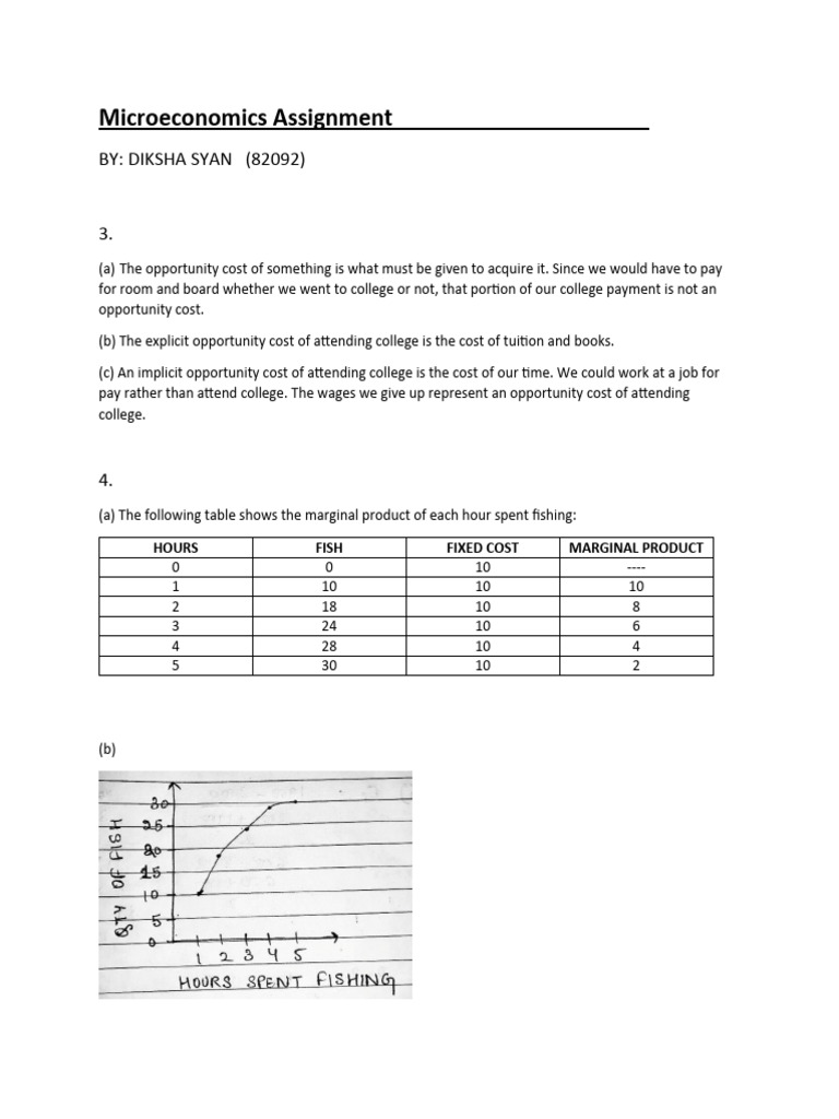 Microeconomics Assignment | PDF