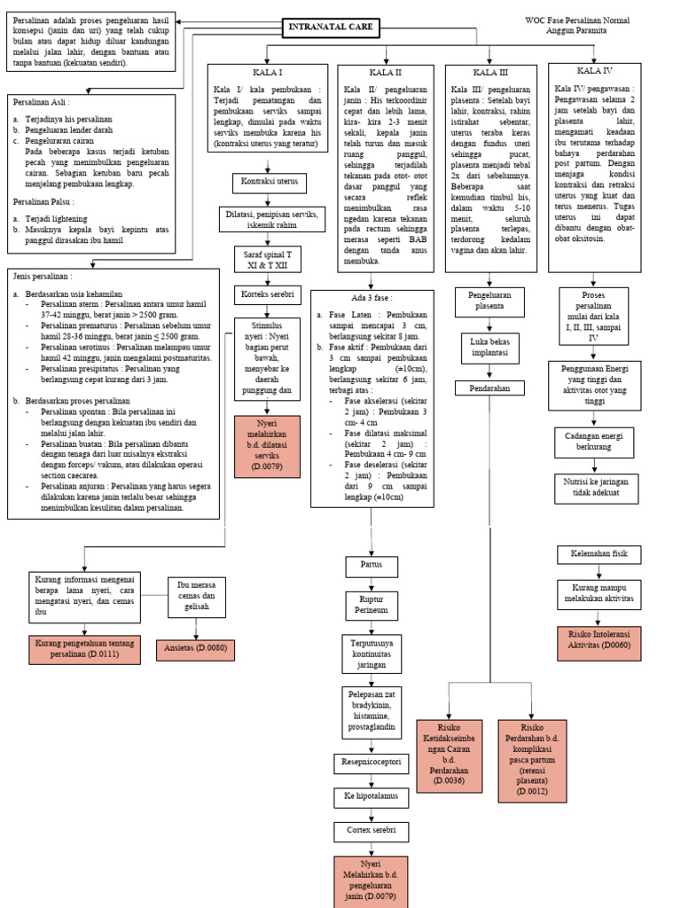WOC Intranatal Kelompok 1 | PDF