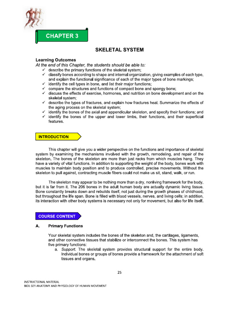 Skeletal System | PDF