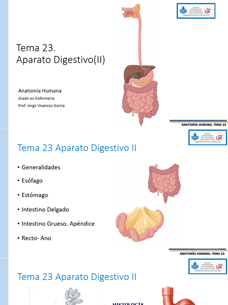 Tema 23 Ap Digestivo (II) | PDF | Ciencias sociales | Salud y bienestar