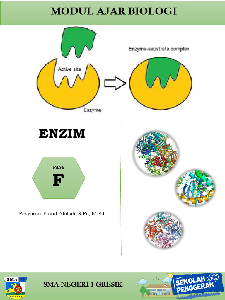 Modul Ajar Enzim - Ahillah | PDF