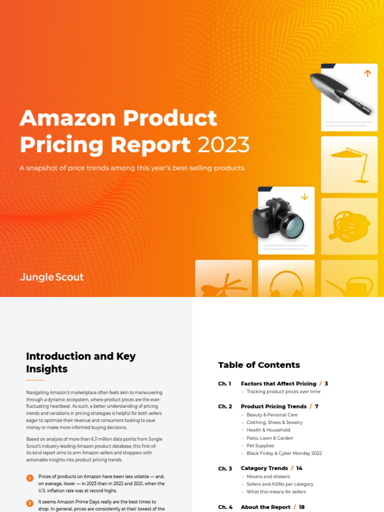 Amazon Product Pricing Report | PDF | Business