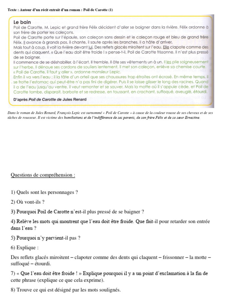 Texte Et Questions de Comprehension | PDF