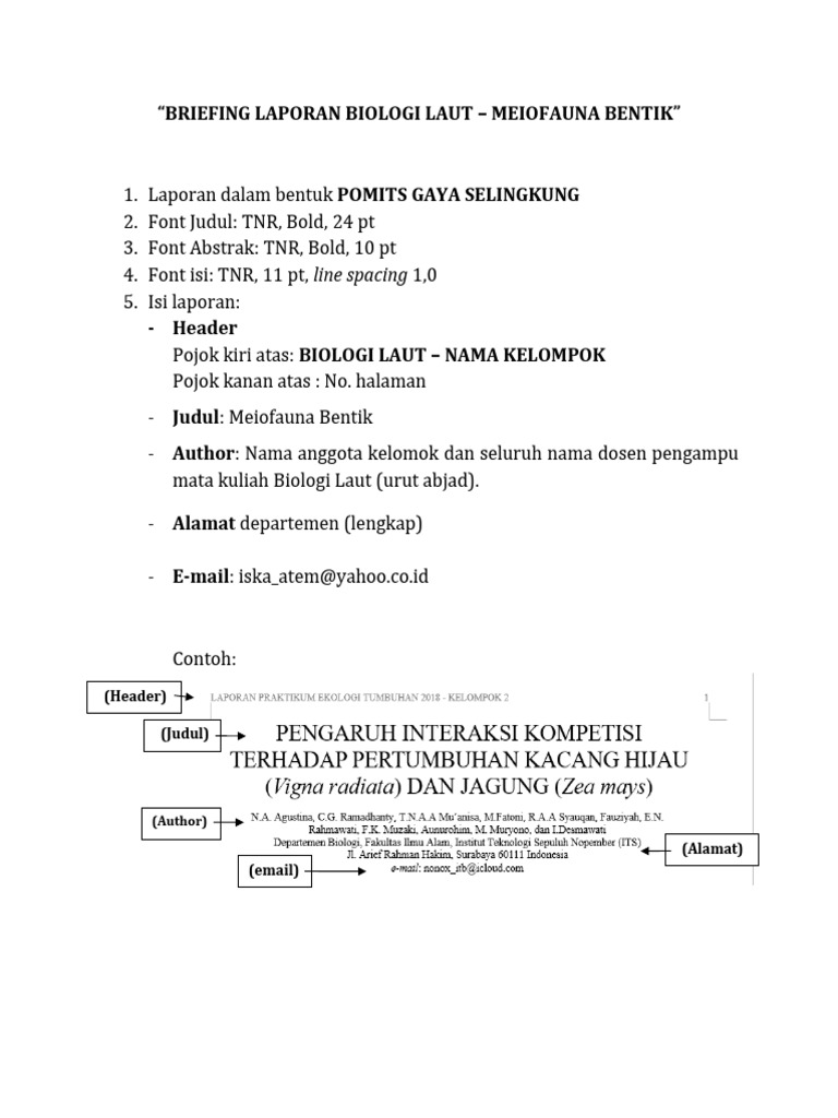 Briefing Laporan Meiofauna Bentik 2021 | PDF
