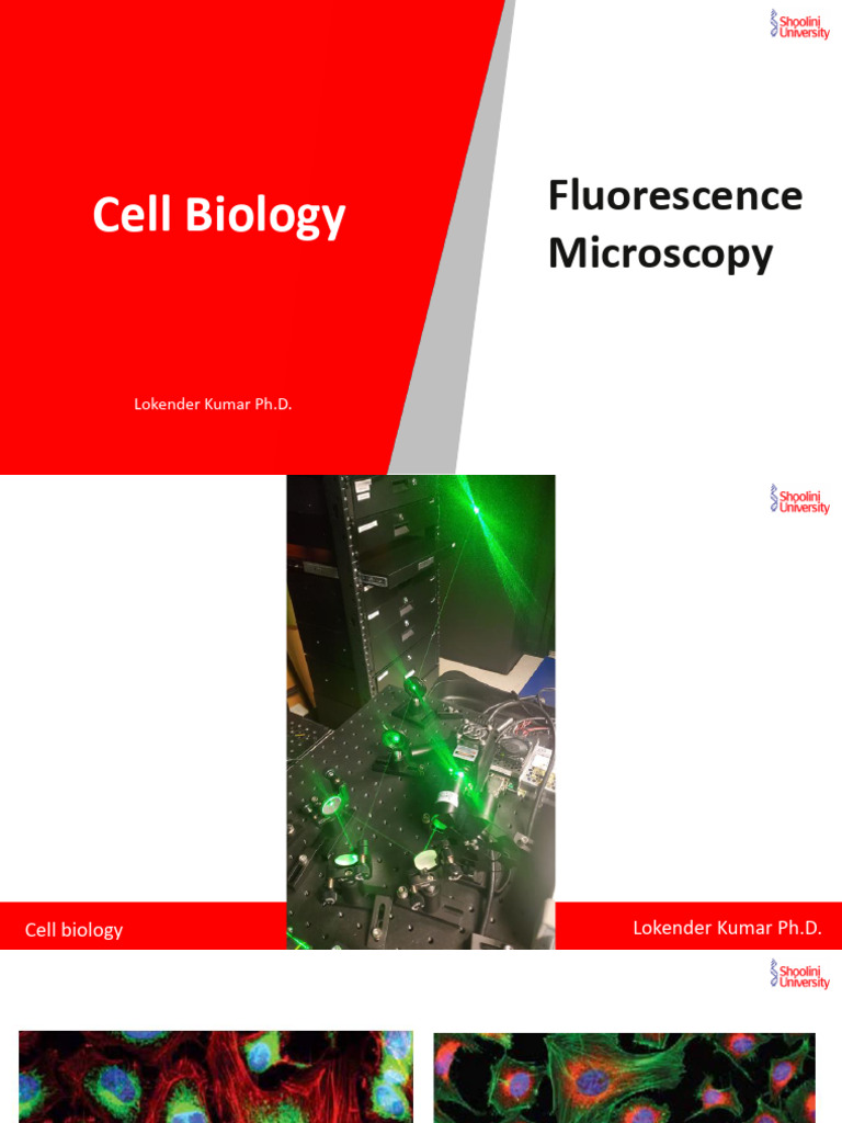 Fluorescence Micros | PDF | Fluorescence Microscope | Microscopy