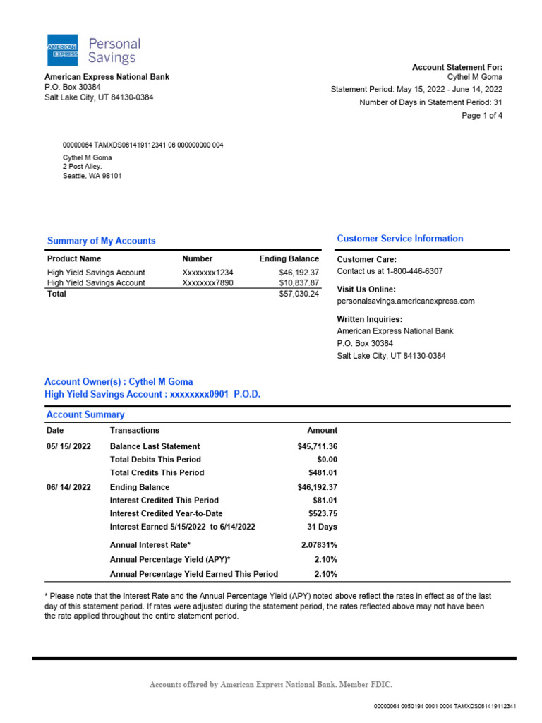 American Express Account Statement Summary | PDF | Banks | Debits And ...