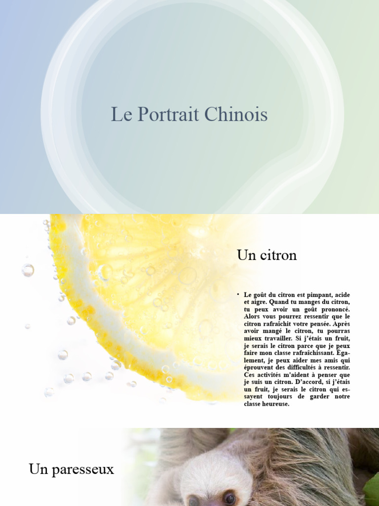 Le Portrait Chinois | PDF