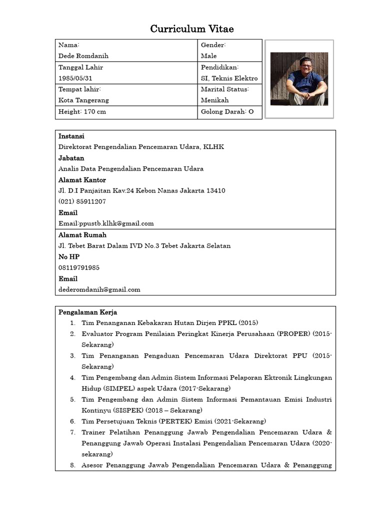 CV Dede -PPU | PDF