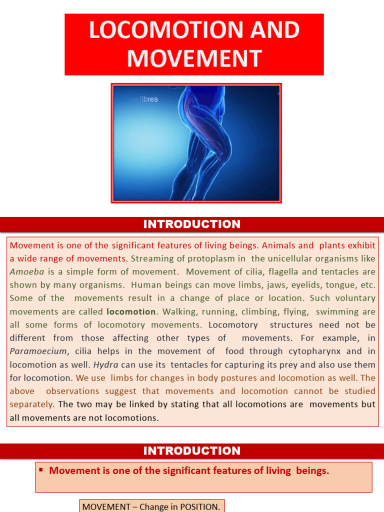 Locomotion and Movement | PDF | Muscle Contraction | Skeletal Muscle
