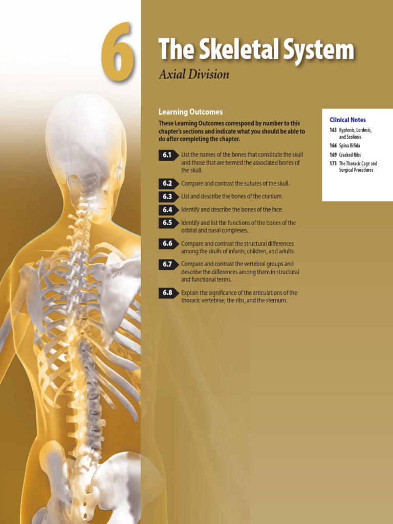 1 Year Anatomy Materials For Lesson 2 | PDF