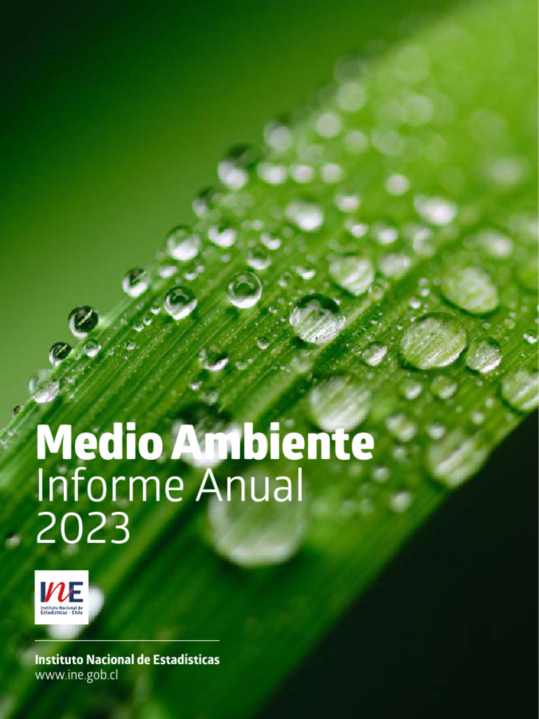 Informe Anual de Medio Ambiente 2023 | PDF