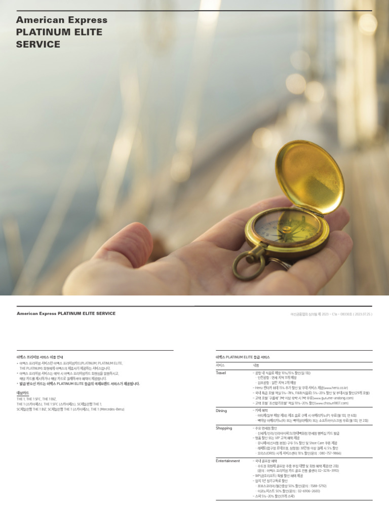 (230818) Amex e 002 | PDF