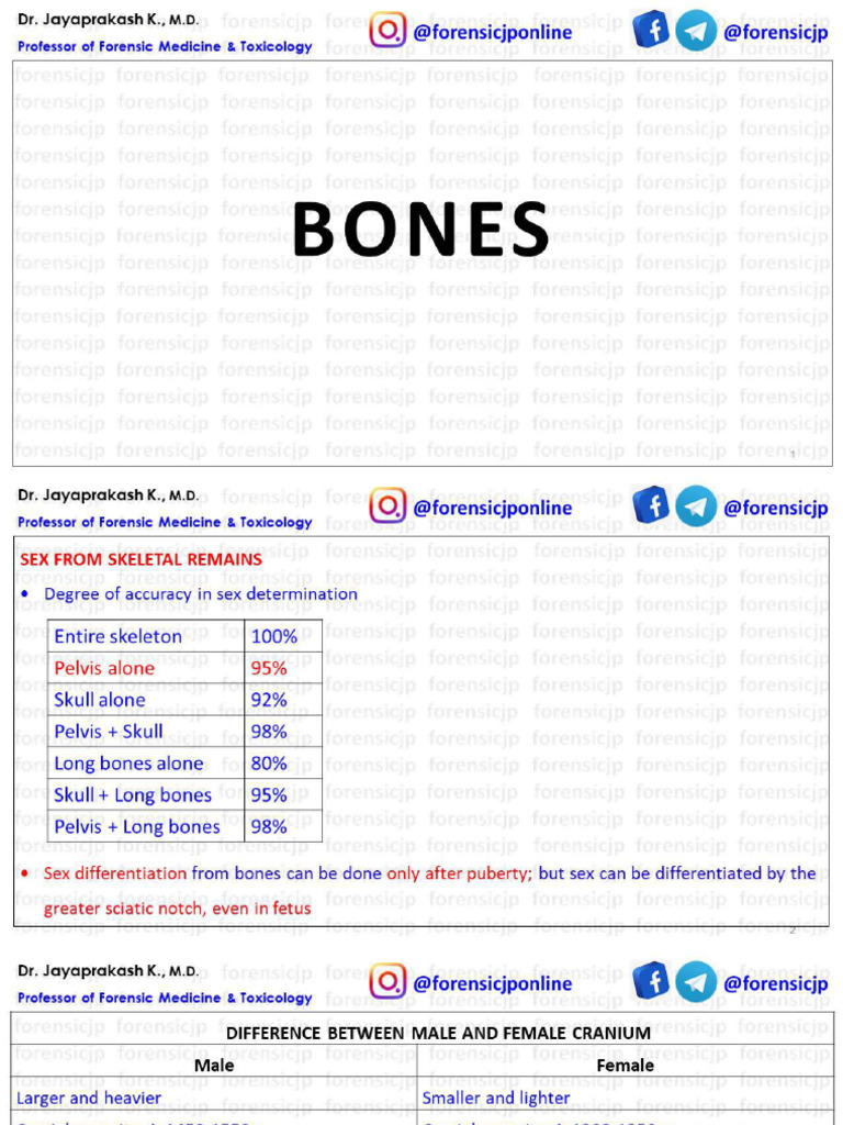 Bones | PDF