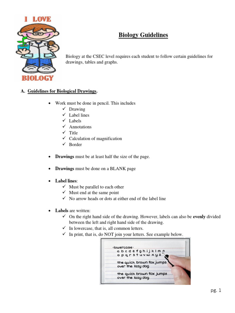 Biology Guidelines For Drawings, Tables and Graphs 2 | PDF