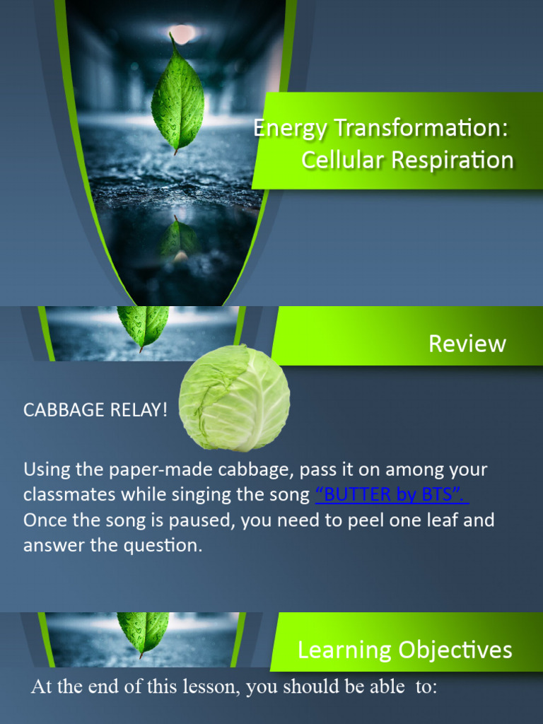 Aerobic and Anaerobic Respiration 1 | PDF | Cellular Respiration ...