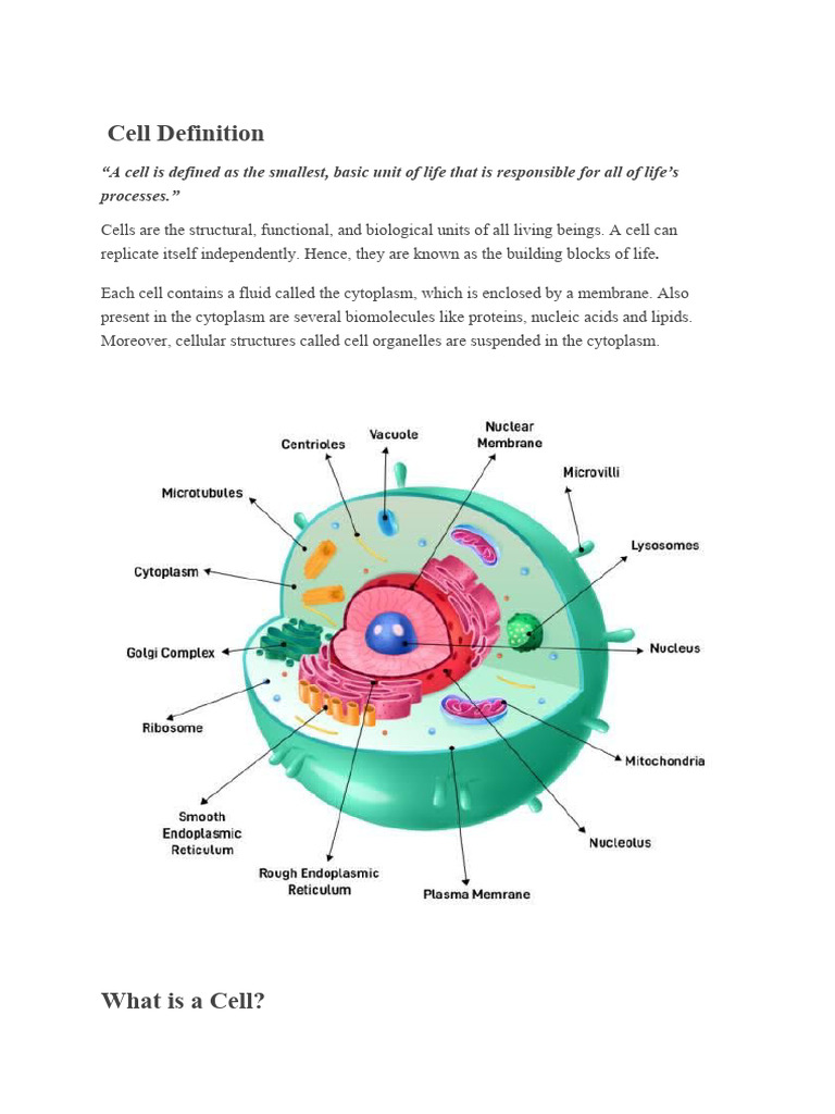 Cell Unit of Life | PDF