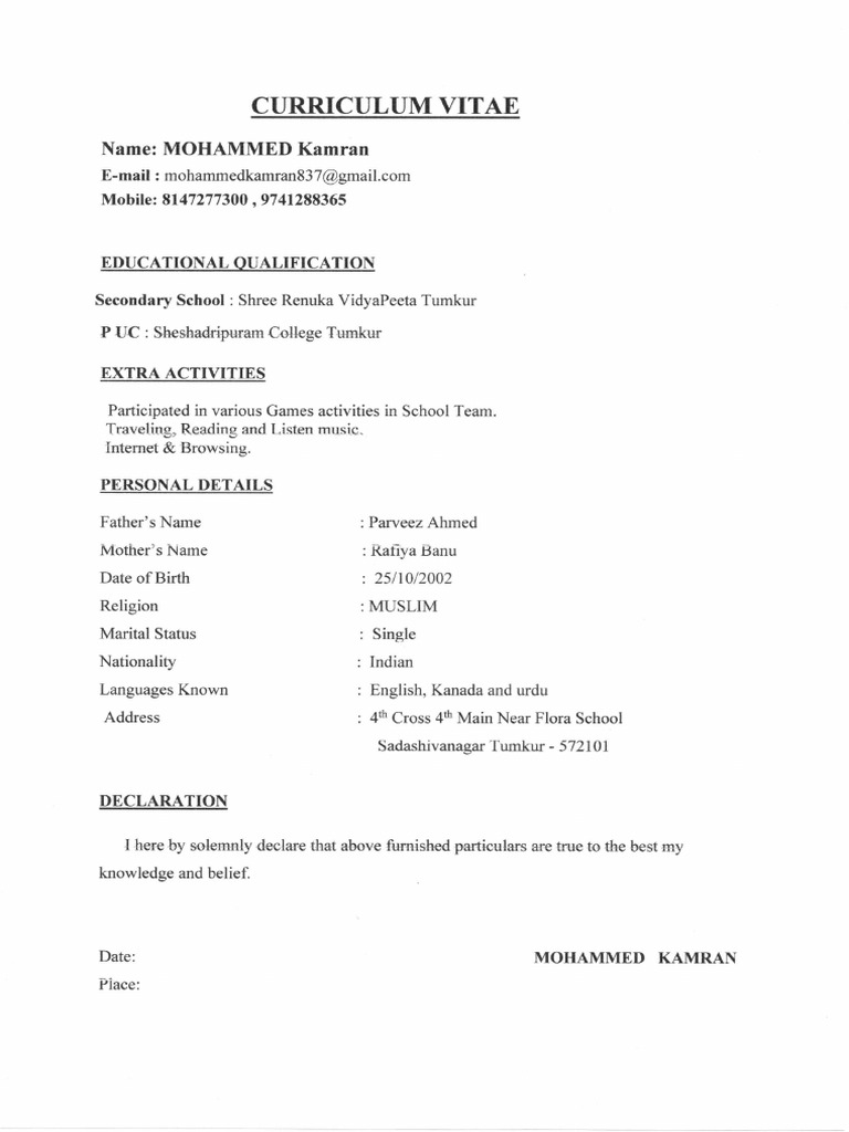 Resume Md. Kamran | PDF