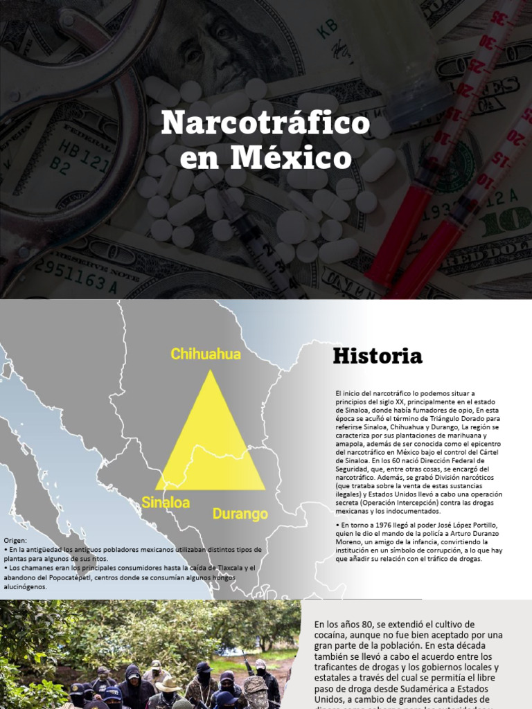 Narcotrafico en Mexico. DGRR | PDF