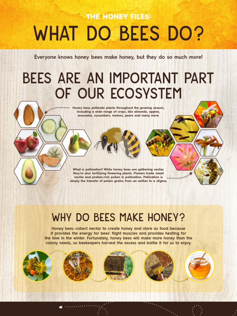 2020 Educational Materials What Do Bees Do Activity Sheet | PDF | Honey ...