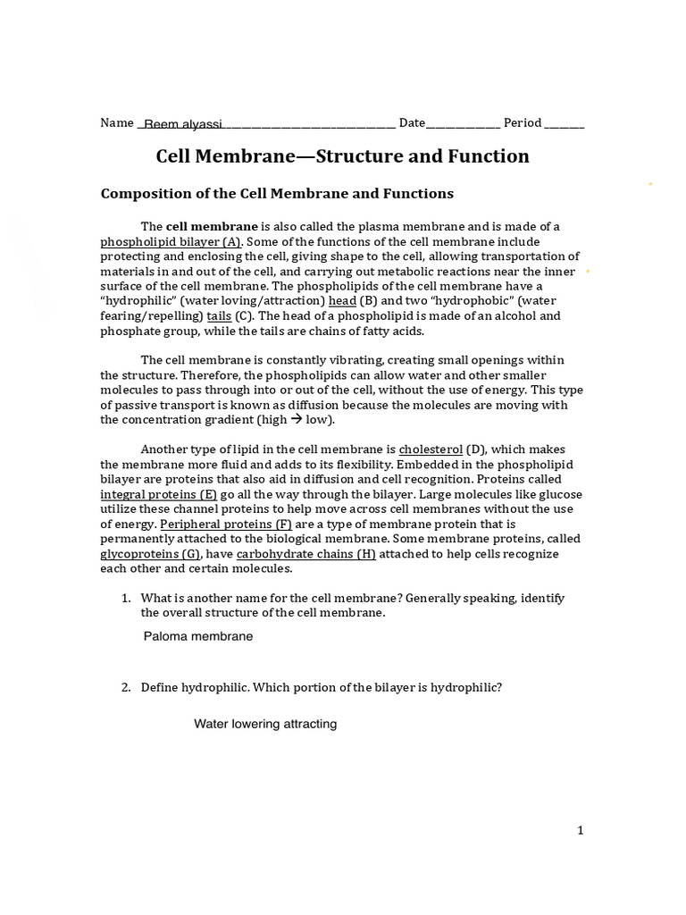 Worksheet - Cell Membrane | Download Free PDF | Cell Membrane | Lipid ...