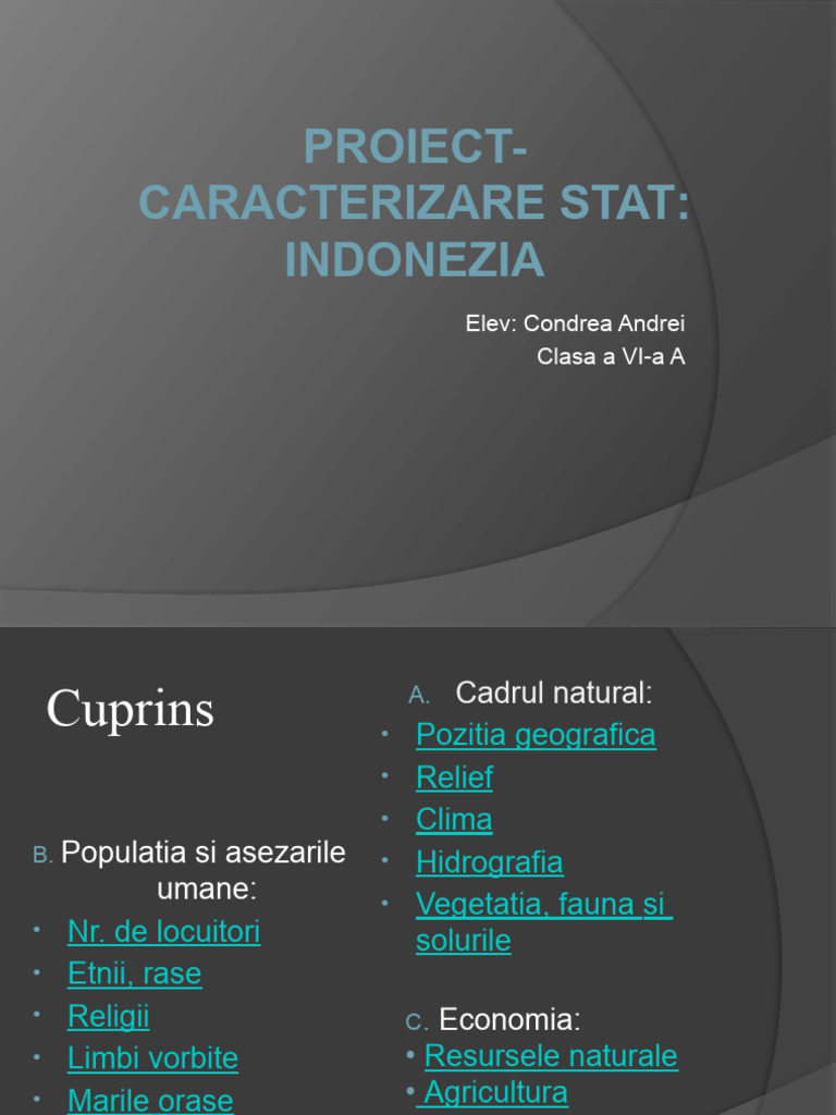 Proiect-Caracterizare Stat | PDF