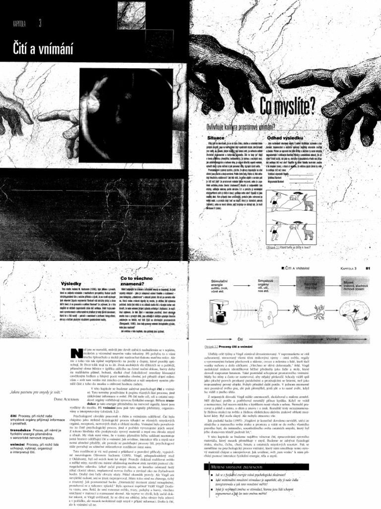 Kassin Saul 02 | PDF Kassin Saul 02 | PDF