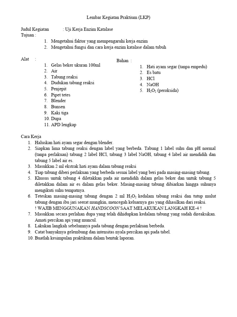 LKP KATABOLISME Dan ANABOLISME | PDF