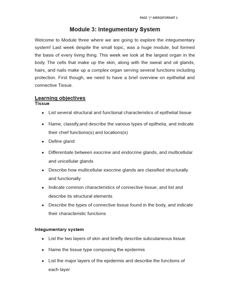 Module 3 Integumentary System | PDF