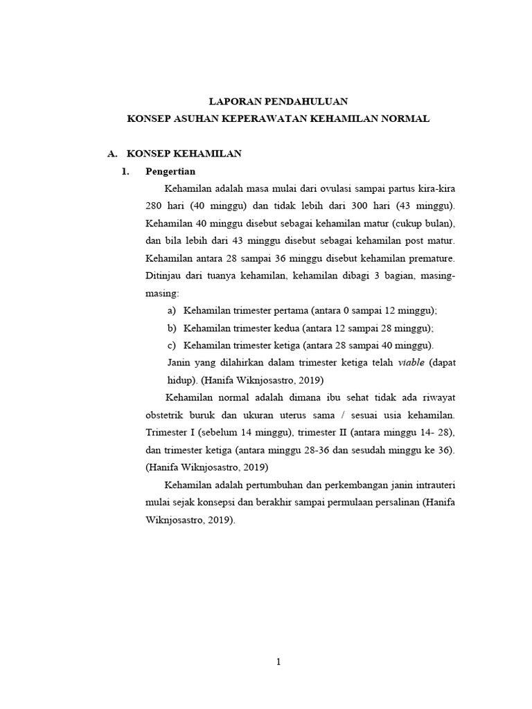 Askep Kehamilan Normal | PDF