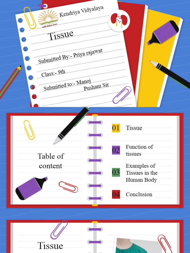 Tissue Updated Priya | PDF | Tissue (Biology) | Human Body