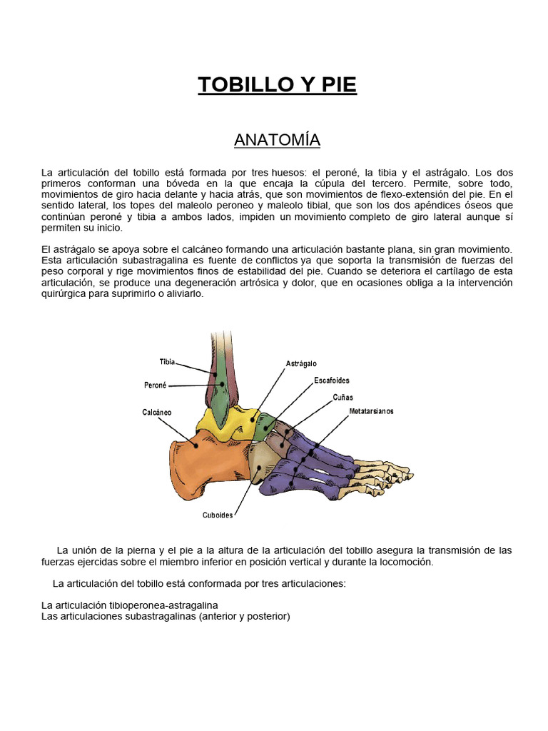 Pie y Tobillo | PDF | Tobillo | Diabetes