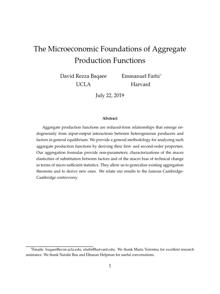 Microfoundations Production Functions | PDF | Production Function ...