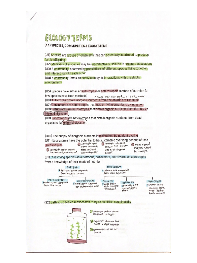 Topic 4 Ecology Notes IB Biology | PDF