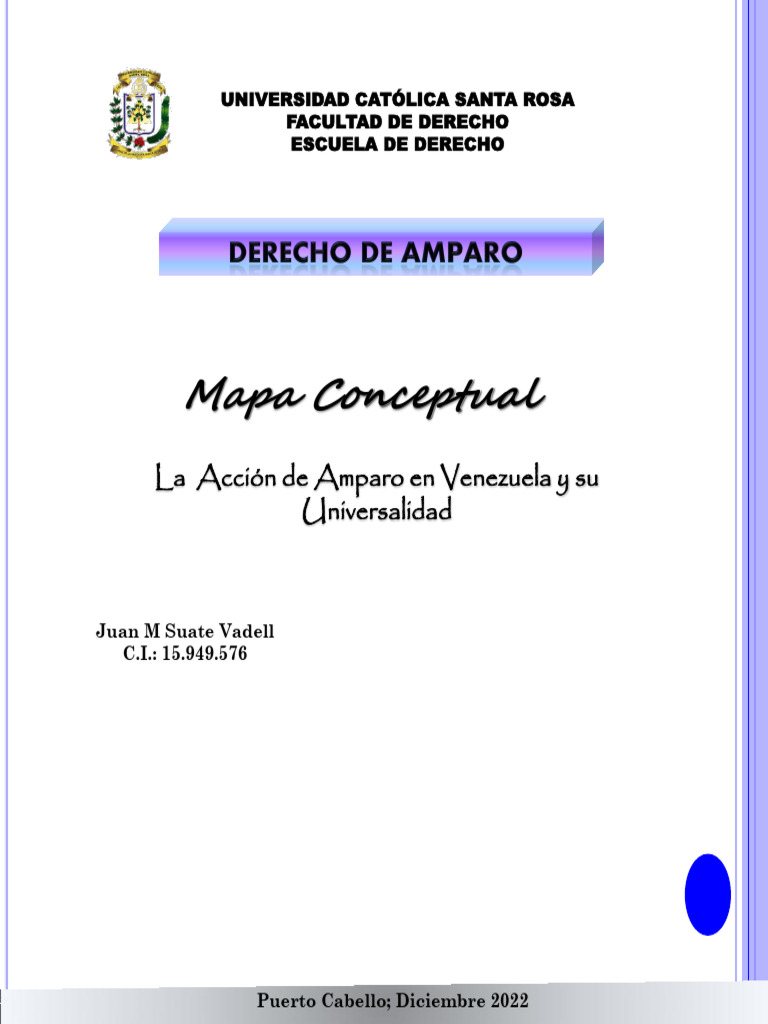 Derecho de Amparo Mapa Conceptual Juan Suate | PDF