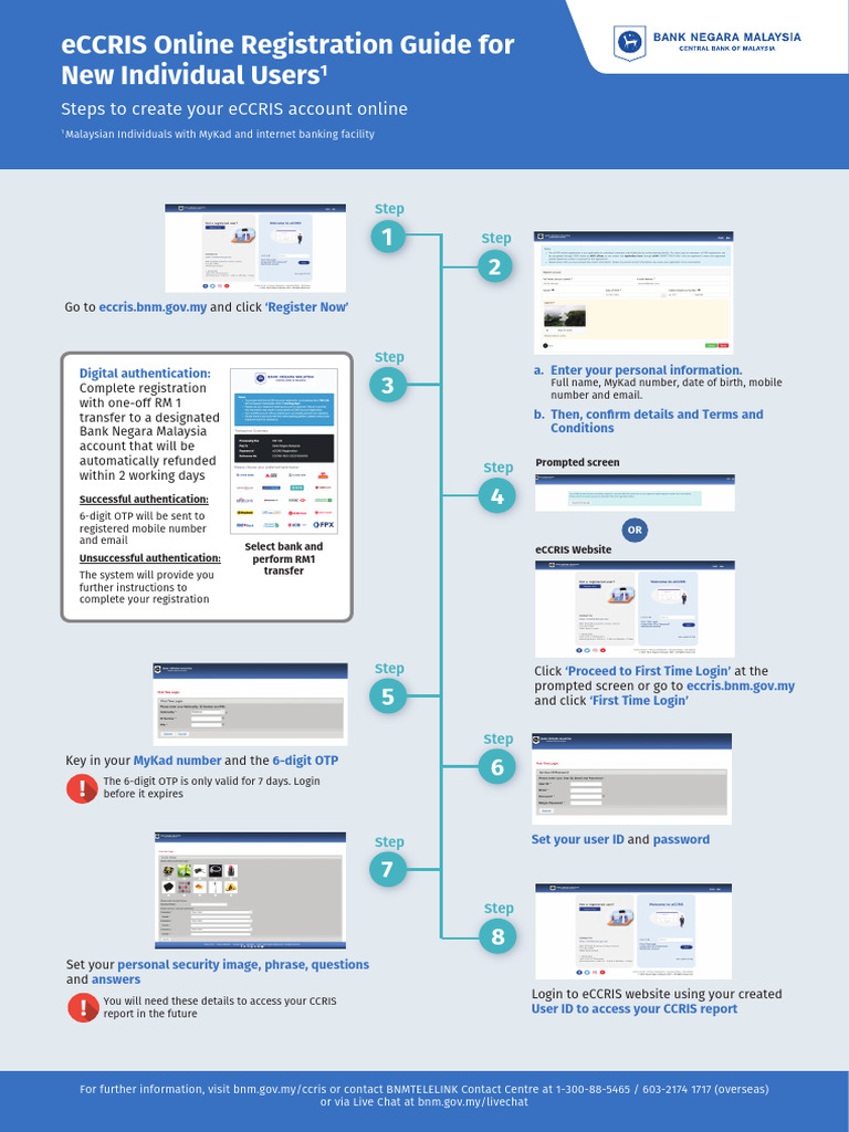 CCRIS-Guide-en | PDF