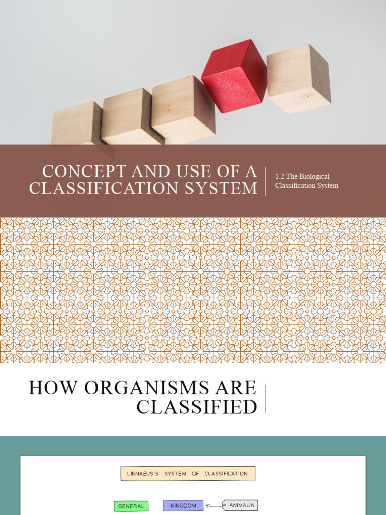 Classification System | PDF