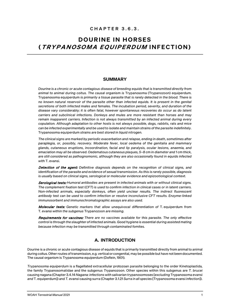 Dourine in Horses: Trypanosoma Infection | PDF