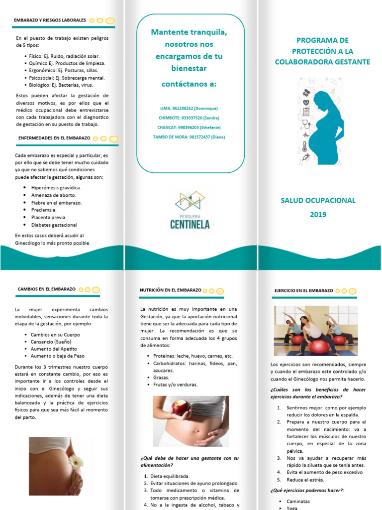 Triptico Gestación Pesquera Centinela | PDF