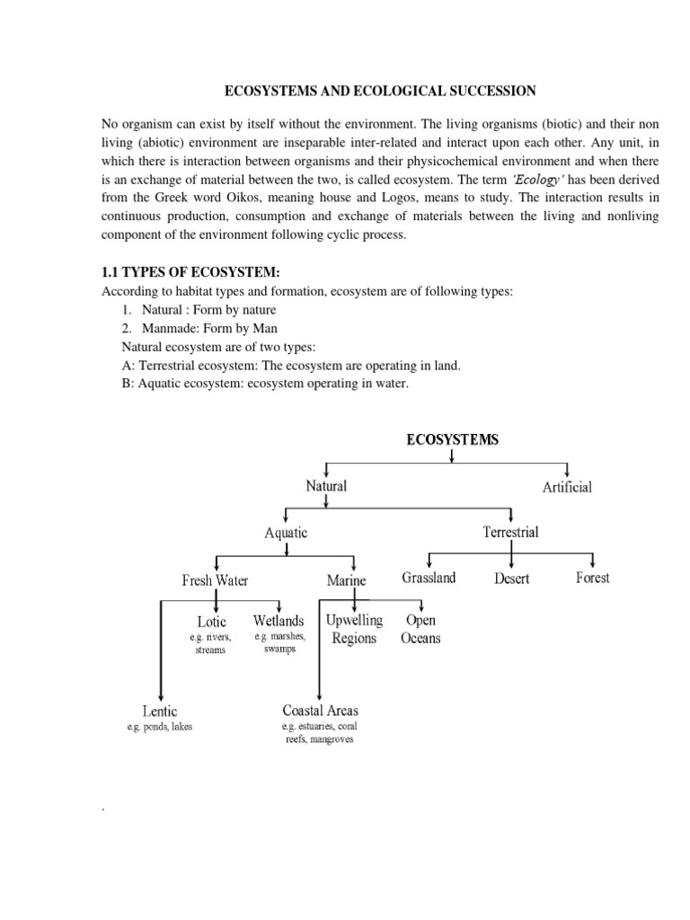 Ecosystem | PDF | Food Web | Ecosystem