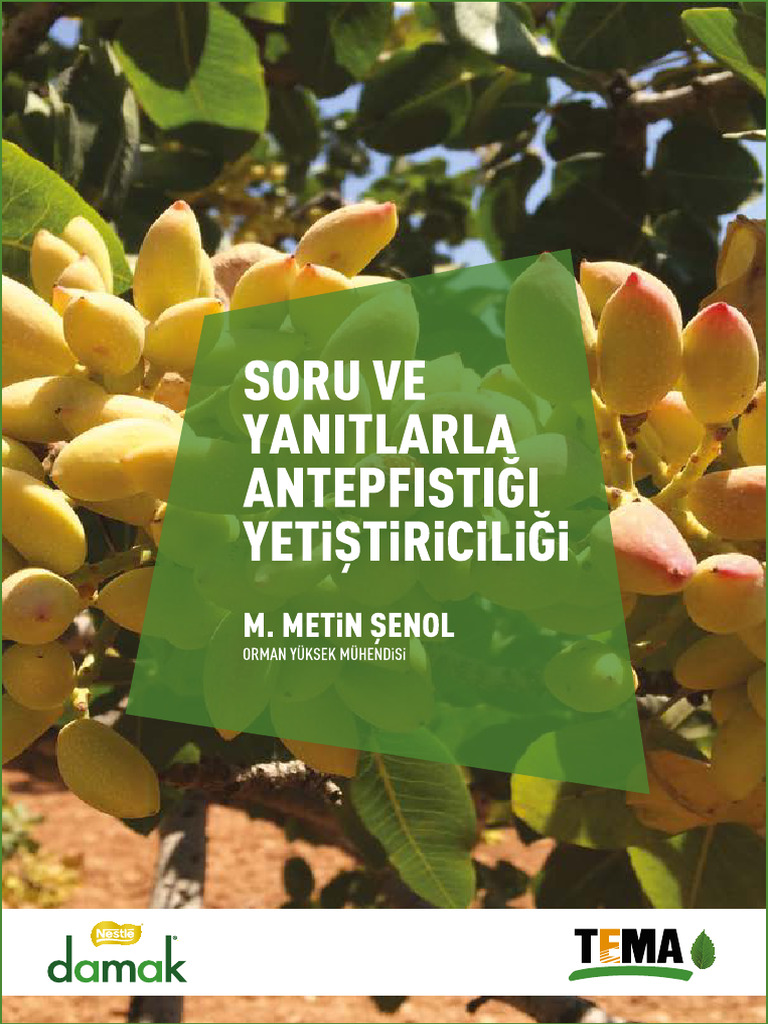 Soru Ve Yanitlarla Antep Fistigi Yetistiriciligi - 1 | PDF