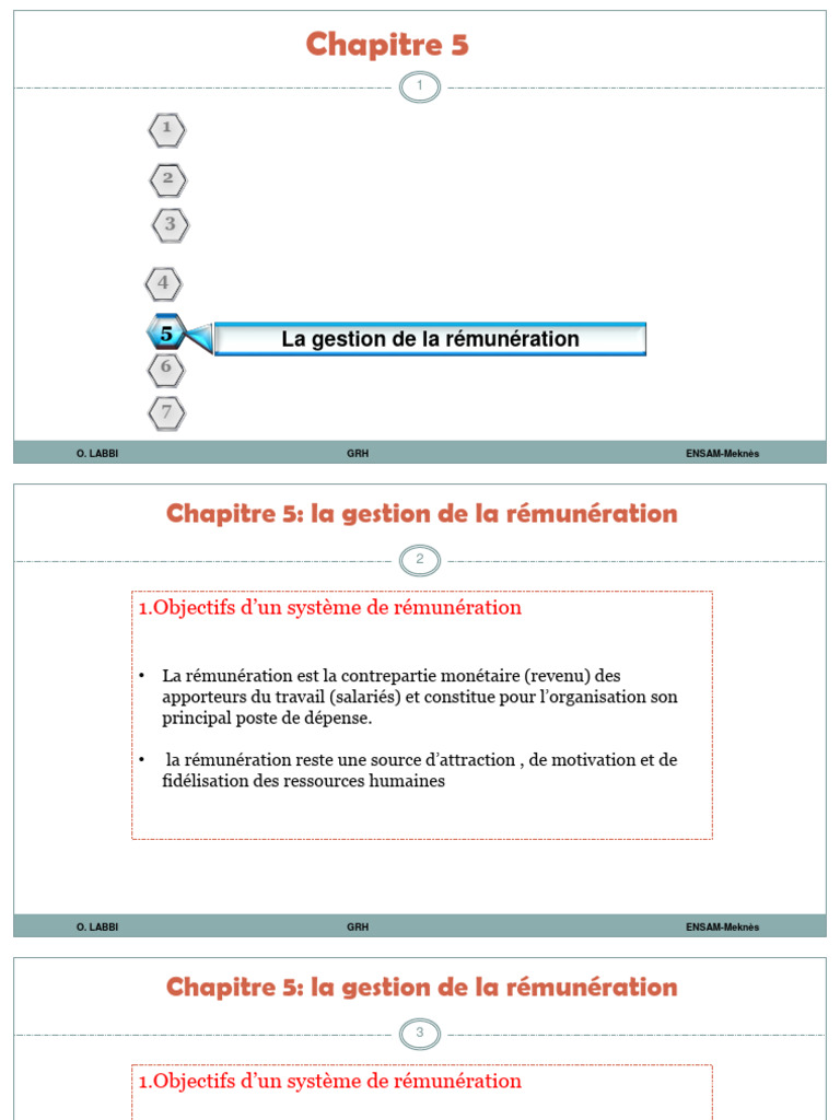 Chapitre 5 GRH | PDF