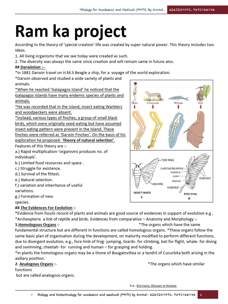 Biology Project Human Health and Disease | PDF | Immune System ...