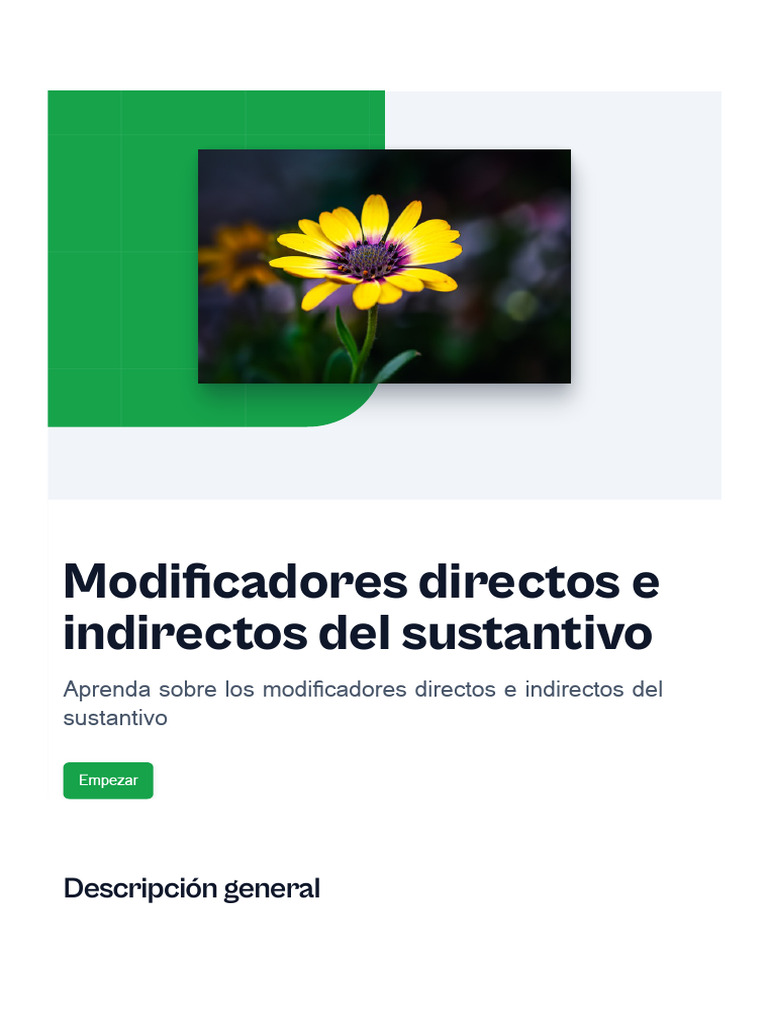 Modificadores Directos e Indirectos Del Sustantivo | PDF