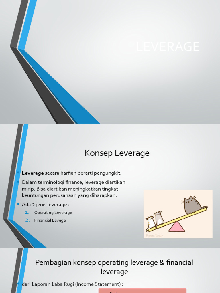 Leverage 1 | PDF