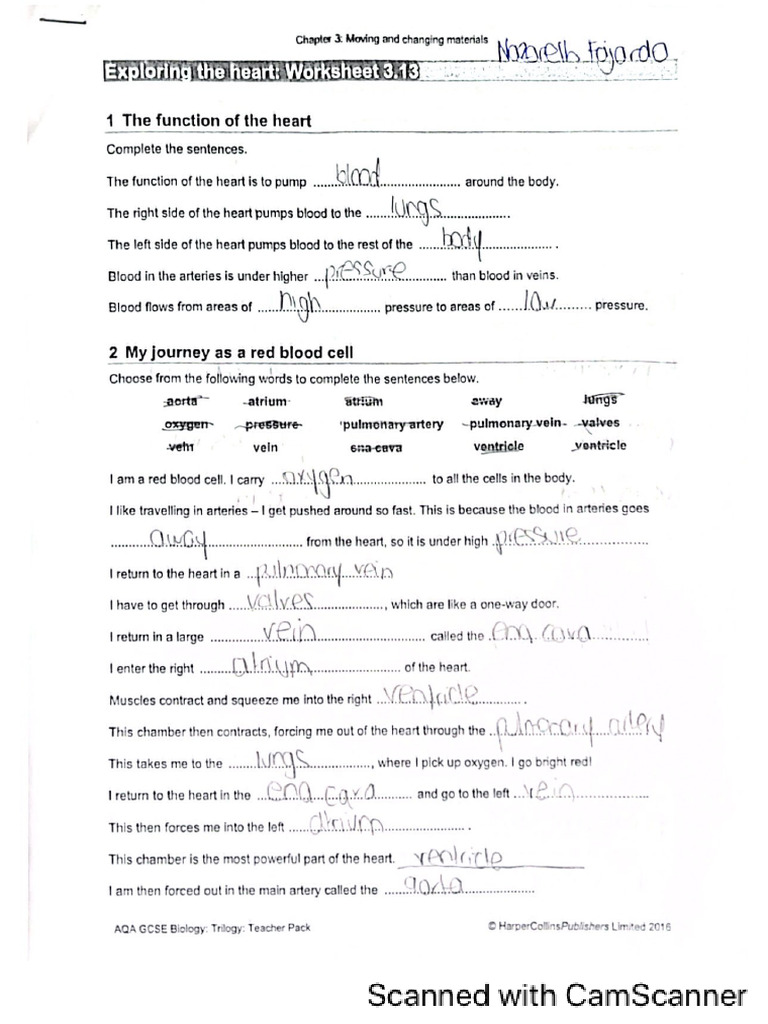 Biology Heart Worksheet | PDF