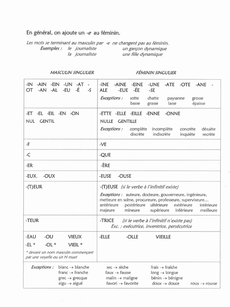 Le Genre Et Le Nombre Des Adjectifs | PDF
