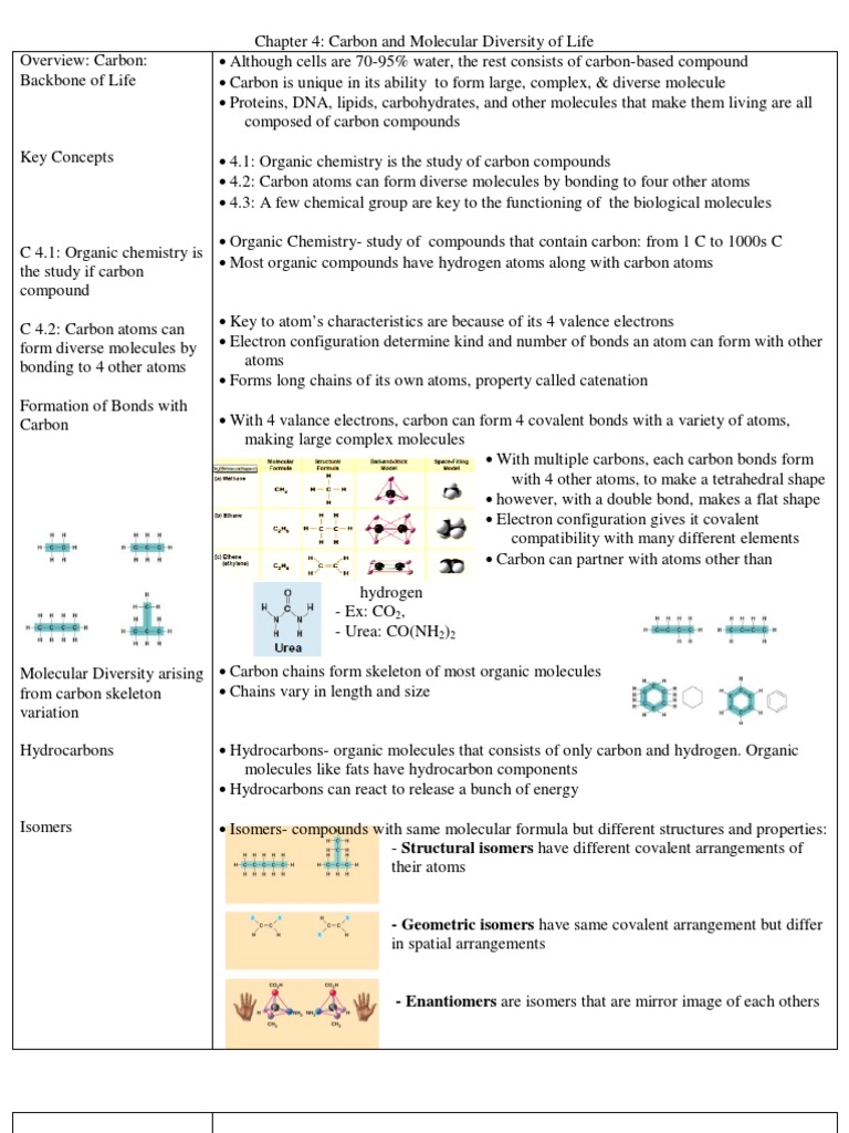 CH 4 Carbon and Molecular Diversity of Life | Download Free PDF ...
