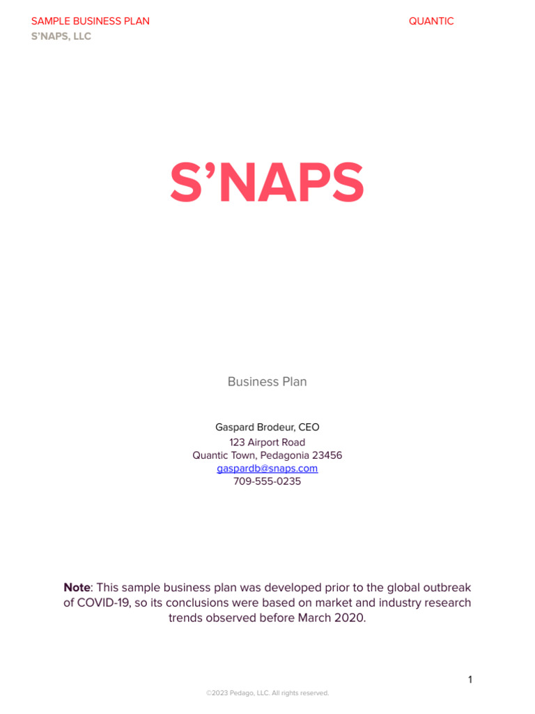 Snaps Business Plan | PDF | Airport Lounge | Hotel