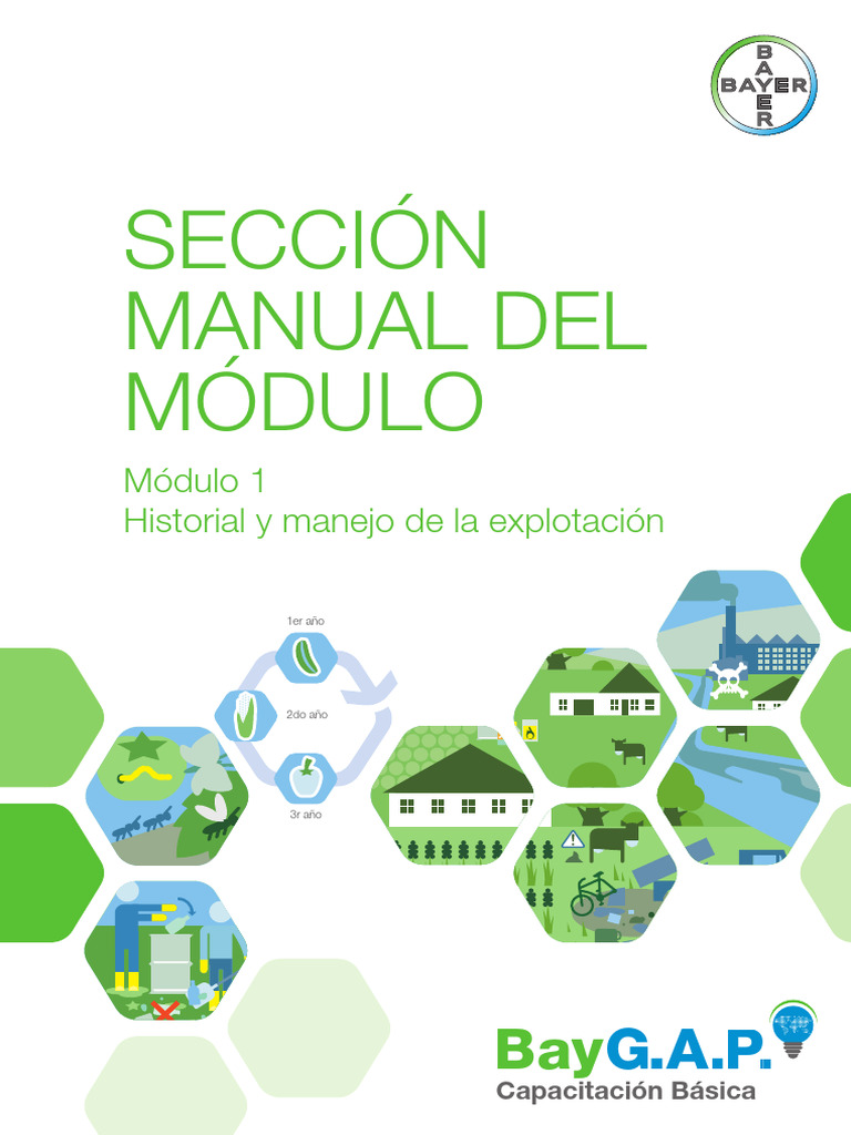 Módulo 1 - BAY Modulo1 | PDF