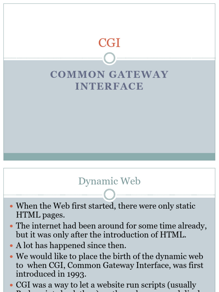 5.1 Cgi | PDF | Business | Computers